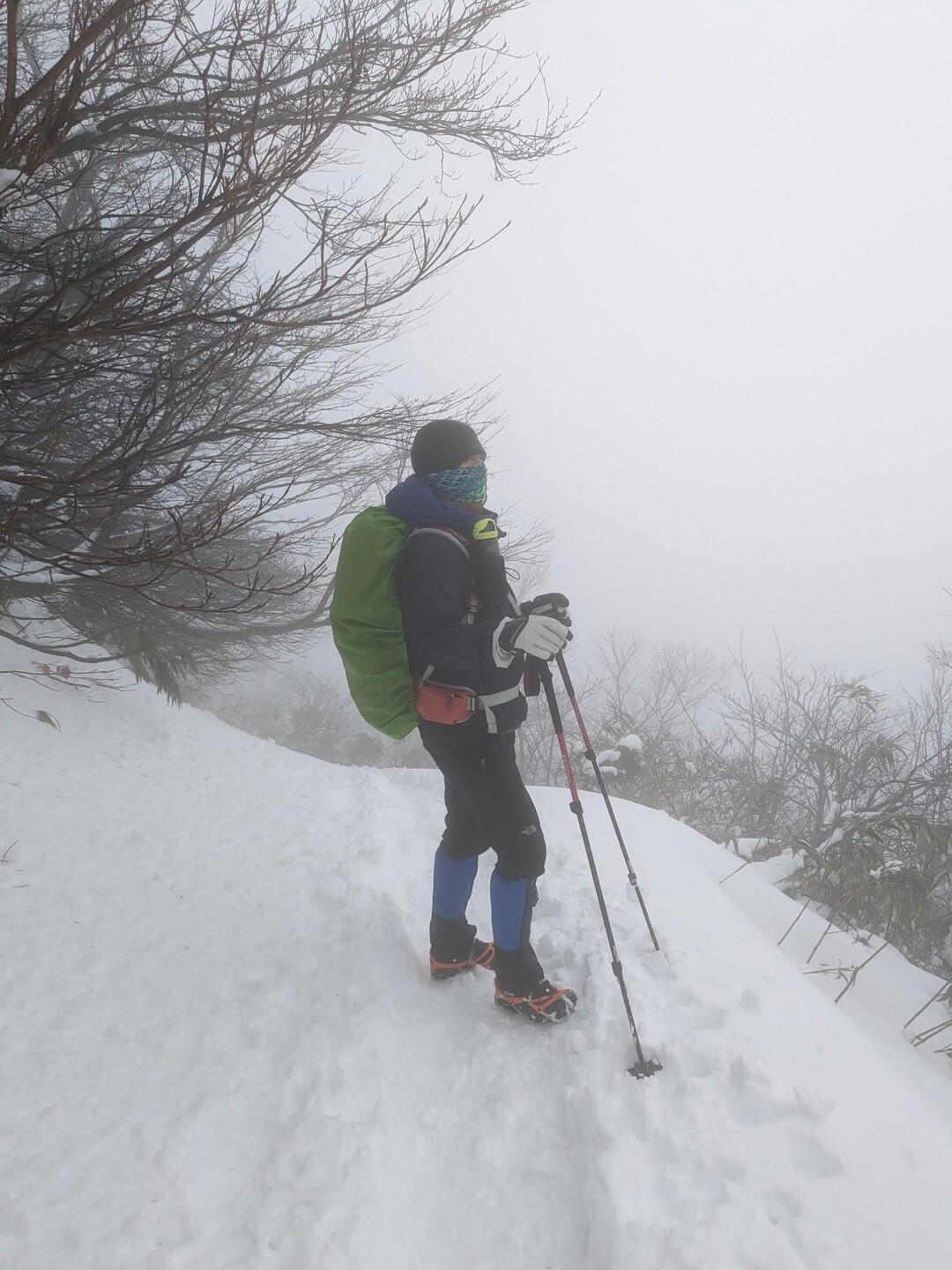 雪の氷ノ山（須賀ノ山） / AMA TREKさんの氷ノ山（須賀ノ山）・鉢伏山・瀞川山の活動データ | YAMAP / ヤマップ