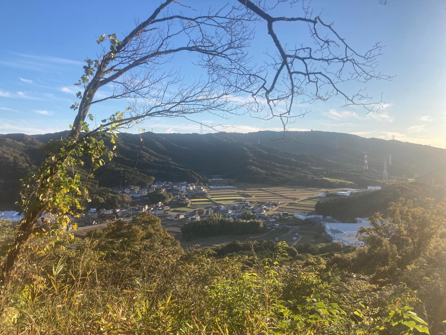 青木神社〜城山（山中城）往復-2024-11-24 / まる。さんのランニングの活動データ | YAMAP / ヤマップ