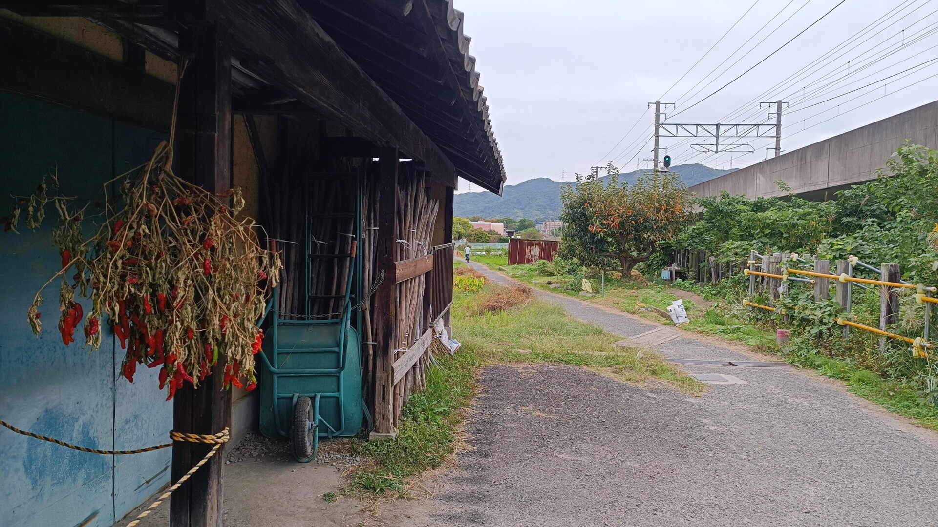 【ざんざら散歩80】星田一丁目1番地 / walkinさんの交野山・国見山の活動データ | YAMAP / ヤマップ