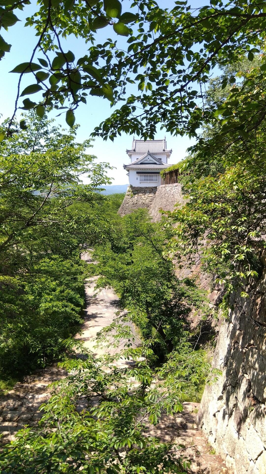 攻城！響き渡るB'zメドレー！津山城！-2024-05-04 / 高級和牛の会のかいさんのウォーキングの活動データ | YAMAP / ヤマップ