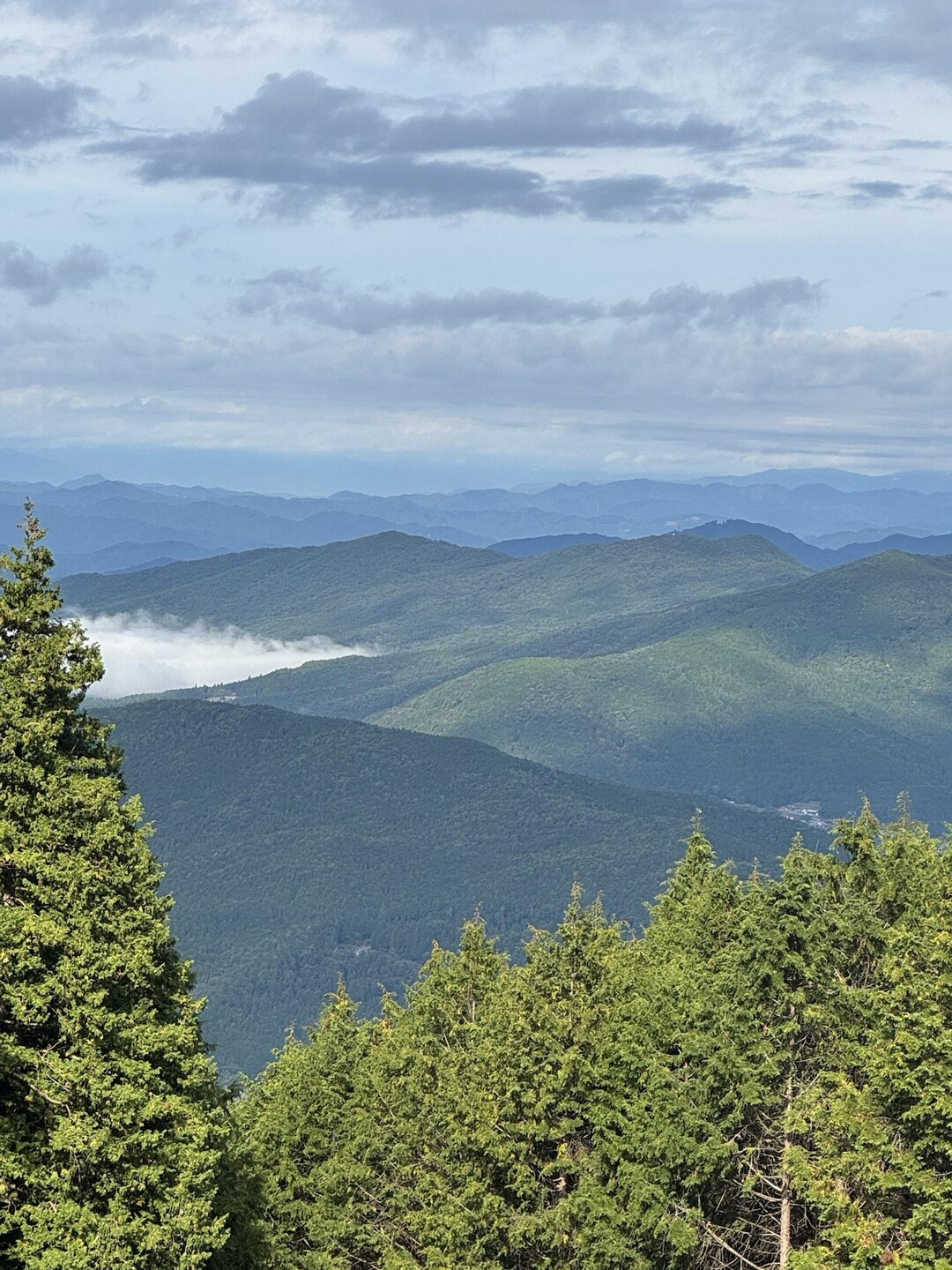 笠置山 / xiaoさんの笠置山の活動データ | YAMAP / ヤマップ