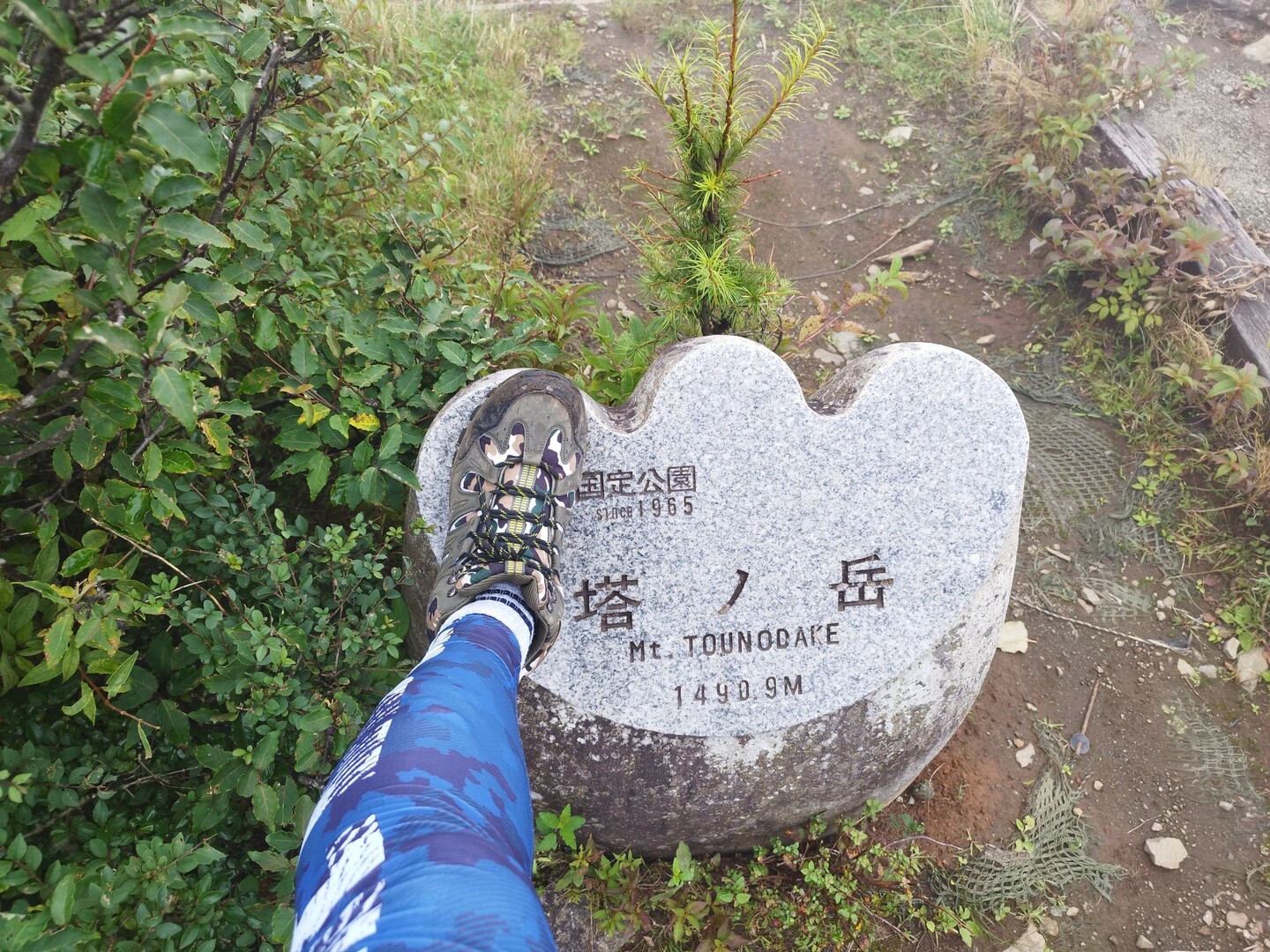 二ノ塔・三ノ塔・烏尾山・行者ヶ岳・政次郎ノ頭・新大日・木ノ又大日・塔ノ岳 / datera🐻🐻🐻さんの塔ノ岳・丹沢山・蛭ヶ岳の活動データ | YAMAP / ヤマップ