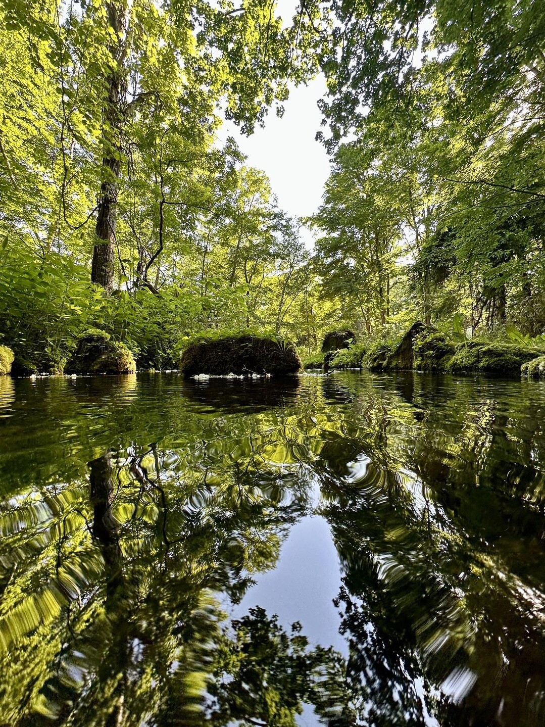 大雪旭岳源水でiPhoneを水没させてみ... / さえさんのモーメント | YAMAP / ヤマップ