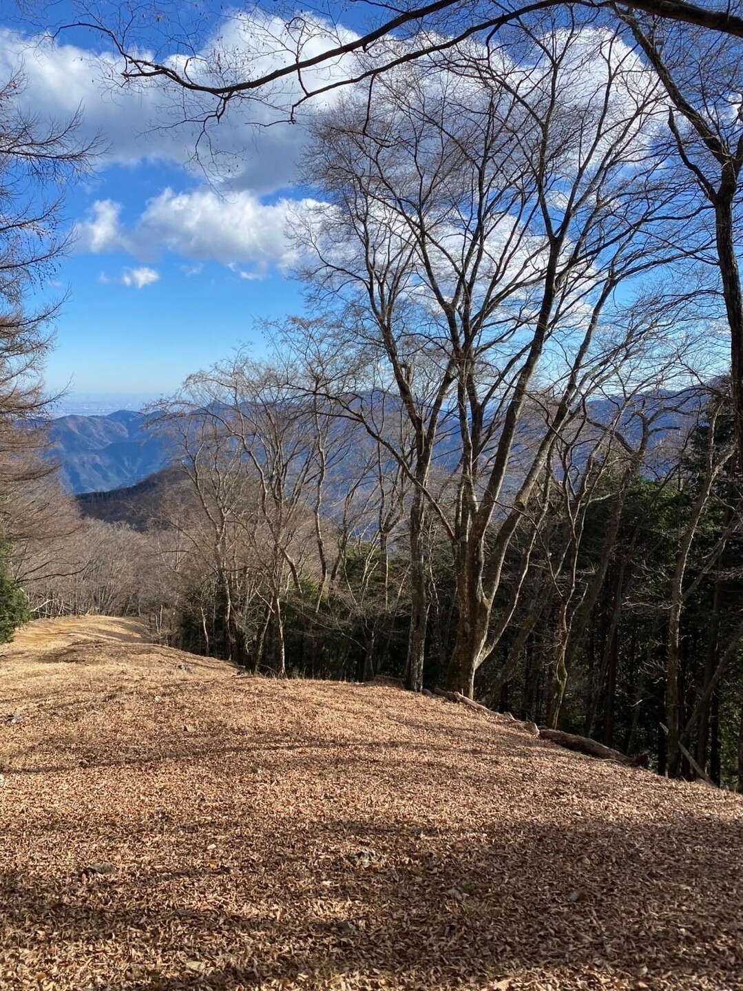 六ツ石山 / yusienaさんの大岳山・御岳山・御前山の活動データ | YAMAP / ヤマップ