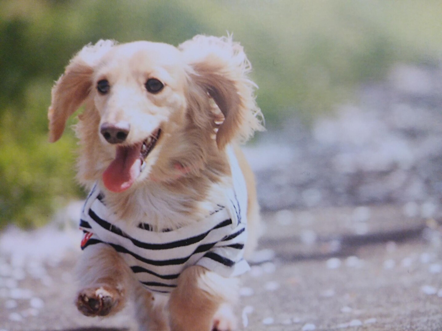 kikuのページ | YAMAP / ヤマップ