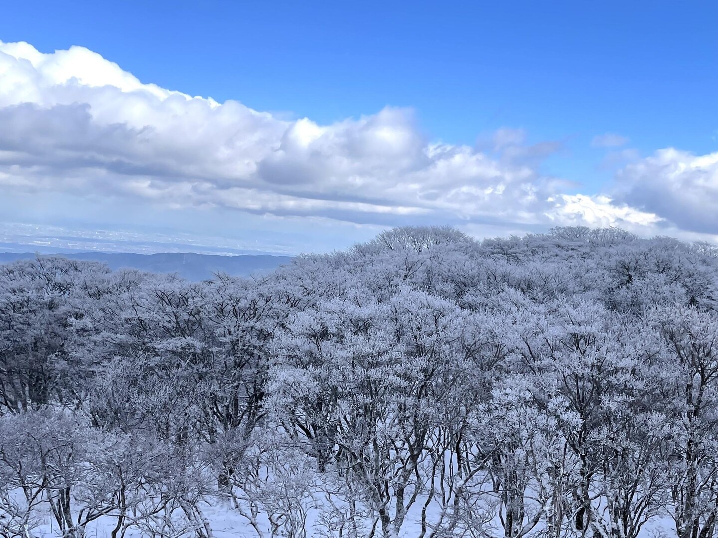 藤原岳・天狗岩 / Bobさんの藤原岳・御池岳の活動データ | YAMAP / ヤマップ