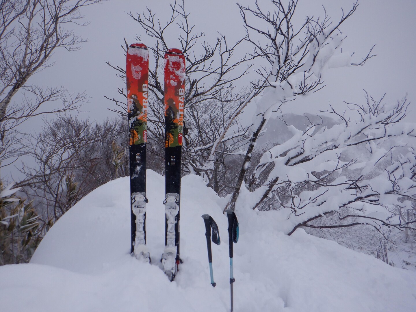 二股山（長万部） / sapさんの美利河丸山（丸山）の活動データ | YAMAP / ヤマップ