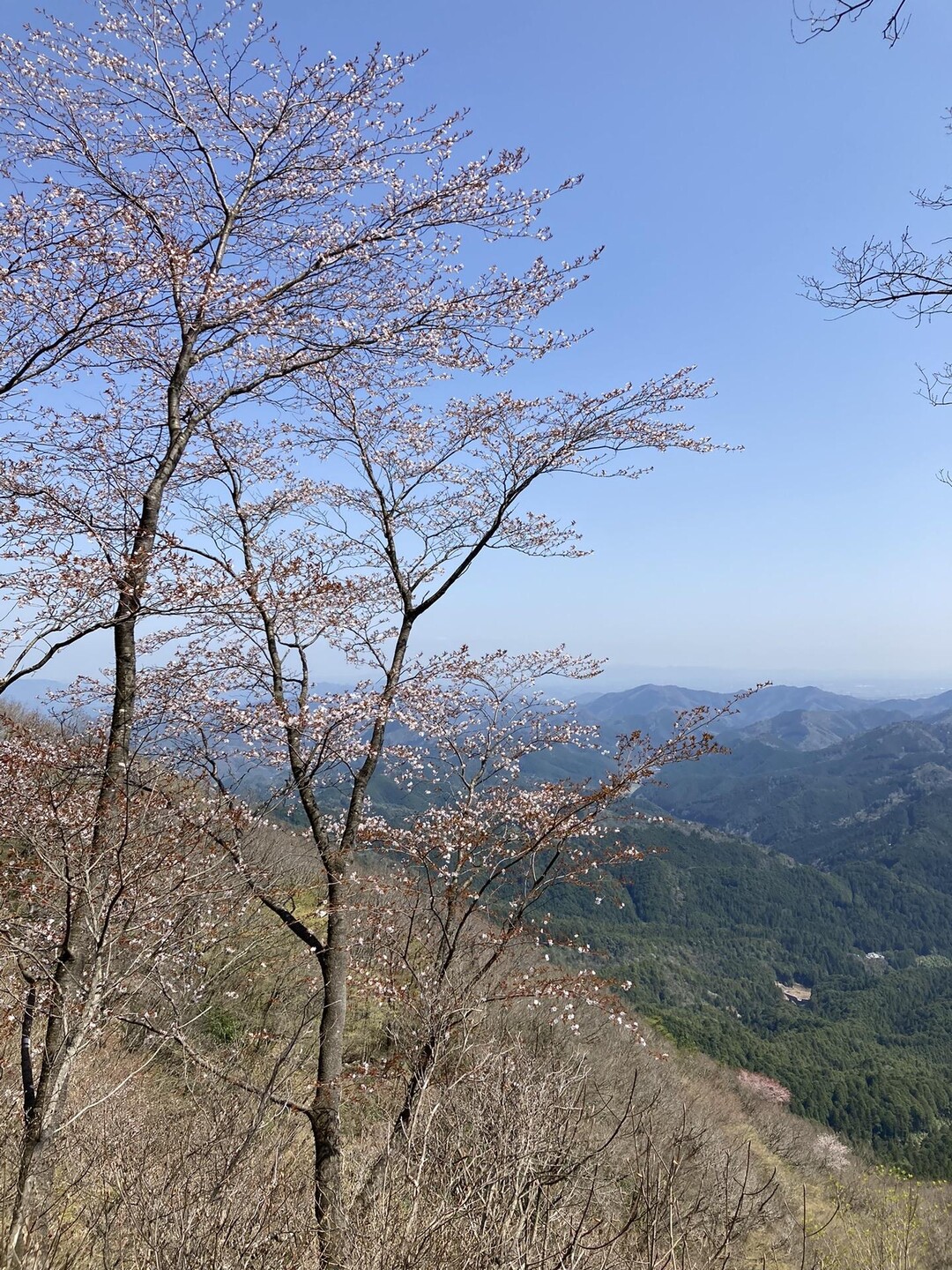 笠の丸・笠形山 / AKKYさんの笠形山（播磨富士）の活動データ | YAMAP / ヤマップ