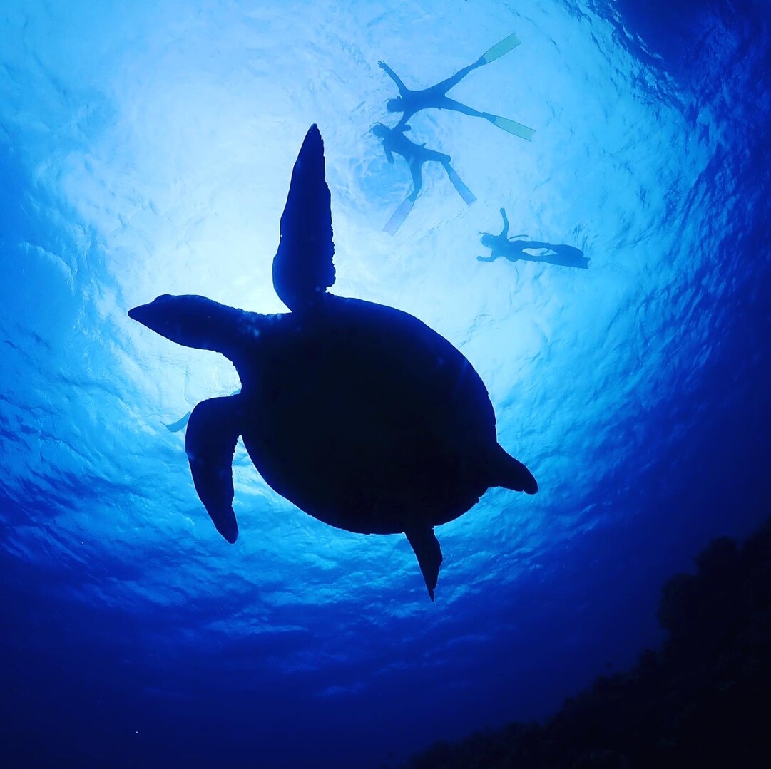 akoのページ | YAMAP / ヤマップ