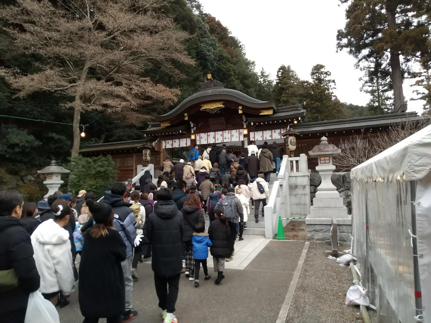 歩き初め 高麗神社 / oka_nobさんのウォーキングの活動データ | YAMAP / ヤマップ