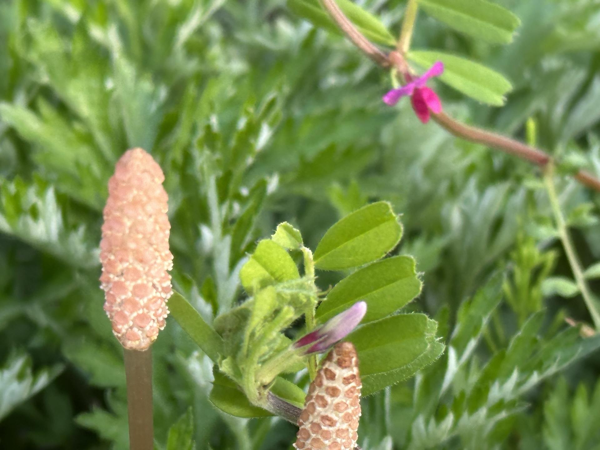 お花鑑賞 / JUNさんのモーメント | YAMAP / ヤマップ