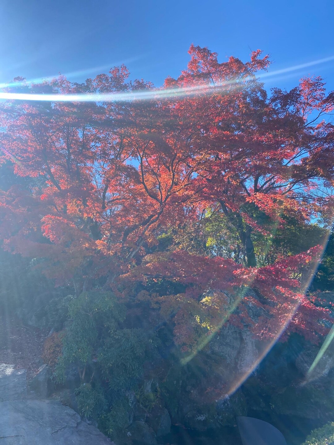 ひろっきー🔰さんの投稿したフィールドメモ | YAMAP / ヤマップ