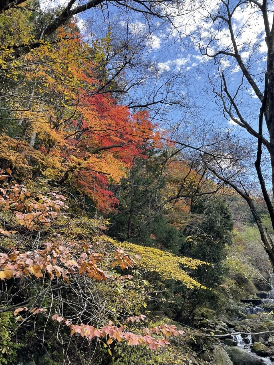 KTのページ | YAMAP / ヤマップ