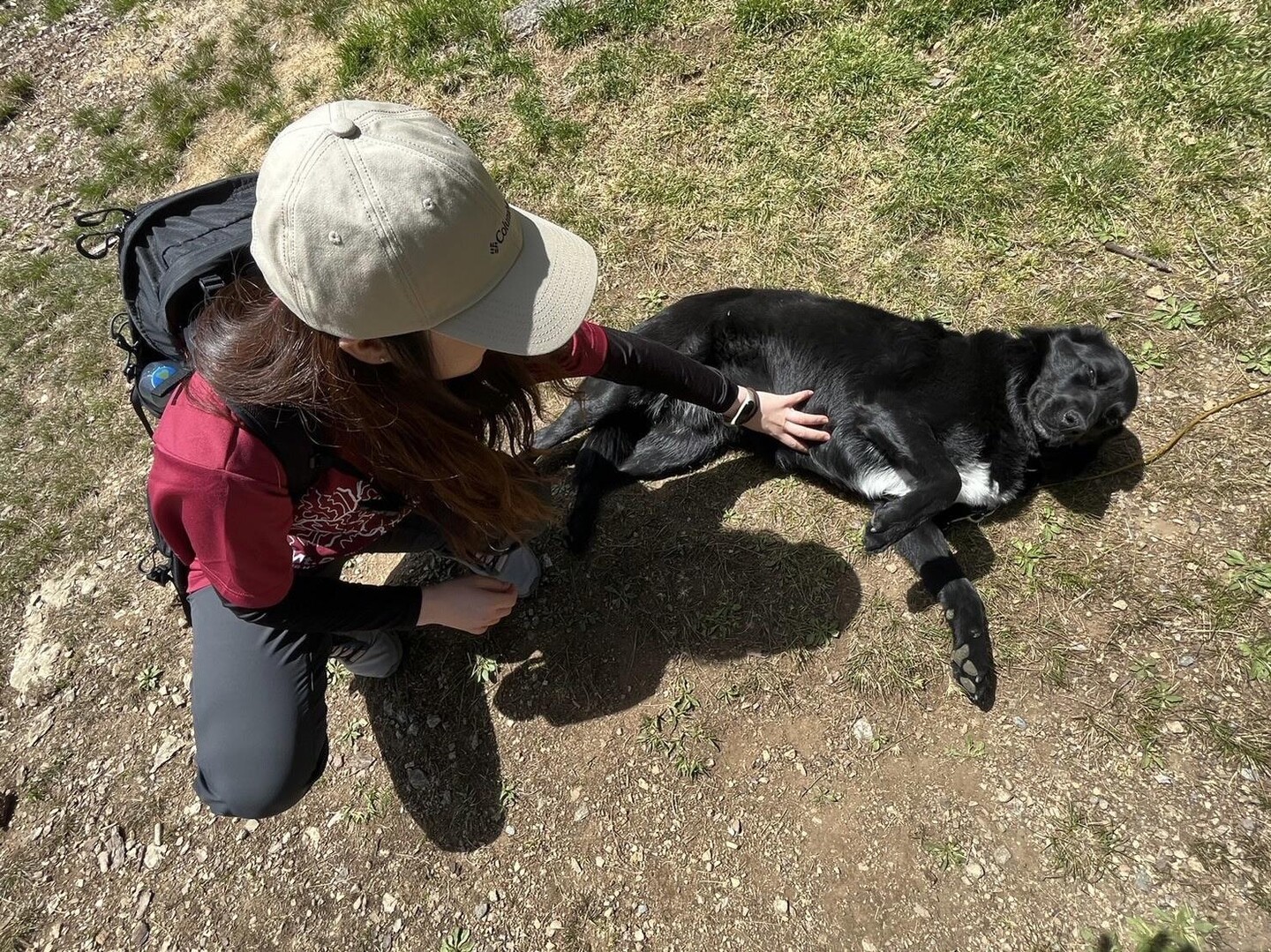 入笠山 / yuma.aさんの入笠山の活動データ | YAMAP / ヤマップ