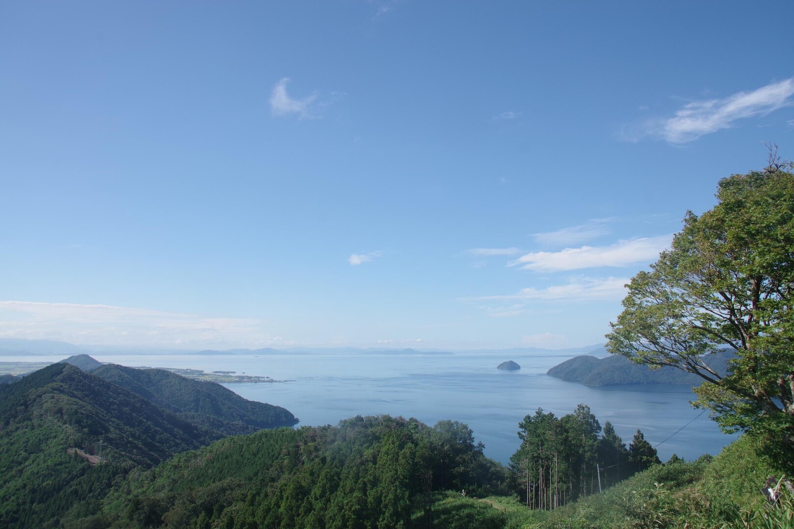 岩崎山・大岩山・賤ヶ岳・公法寺山・大平良山・神明山・堂木山 / サボテンライダーt2さんの賤ヶ岳・山本山の活動日記 | YAMAP / ヤマップ