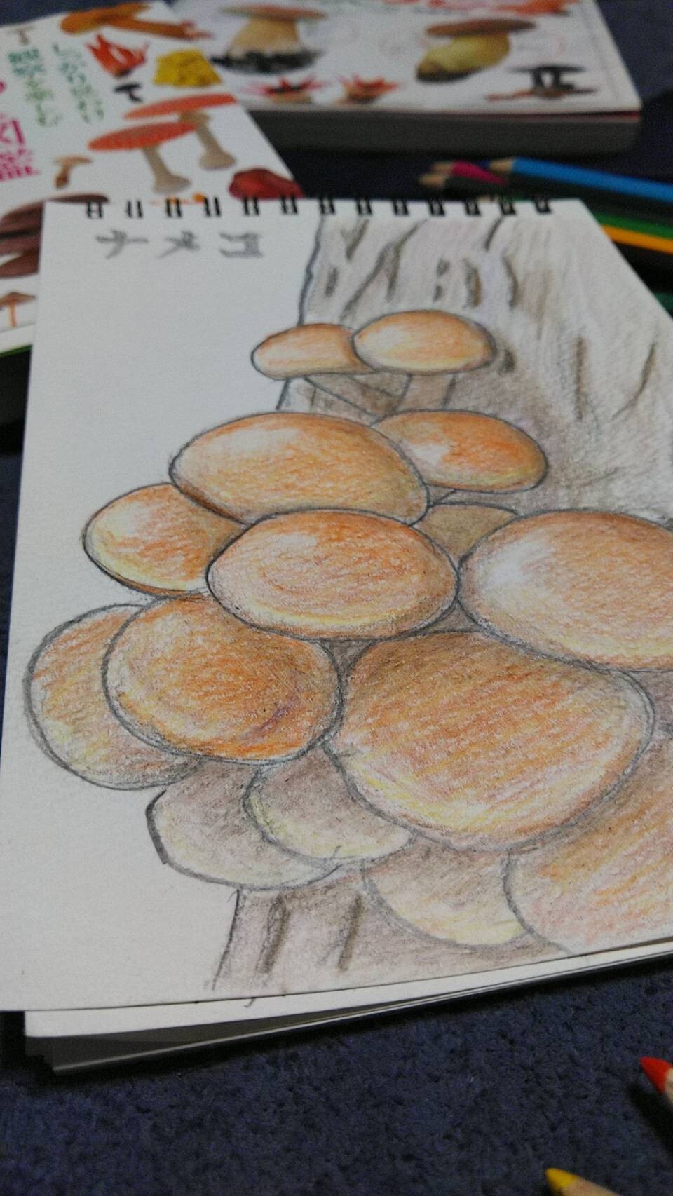 マルマルさんの活動日記で見させていただい... / kazさんのモーメント | YAMAP / ヤマップ