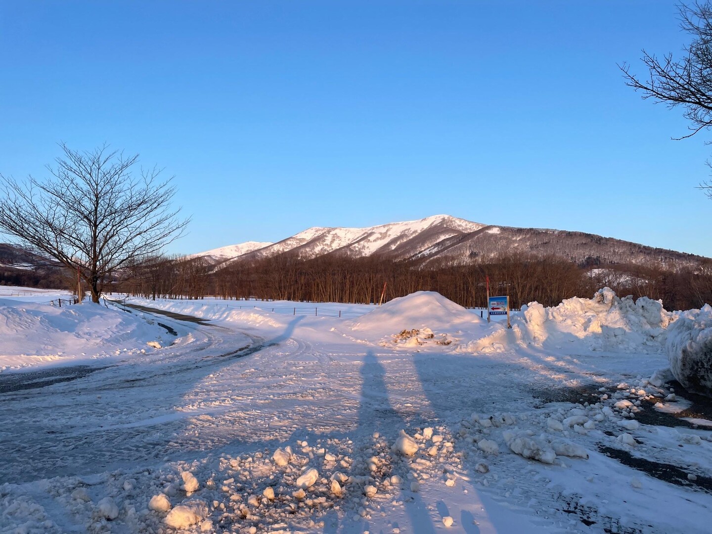 臥牛山 / ちゃとさんのGT3 7の活動データ | YAMAP / ヤマップ