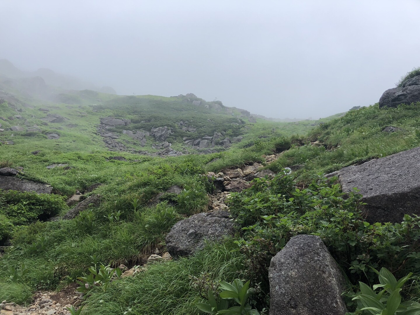 抜戸岳・笠ヶ岳 / Traciさんの槍ヶ岳・穂高岳・上高地の活動データ | YAMAP / ヤマップ