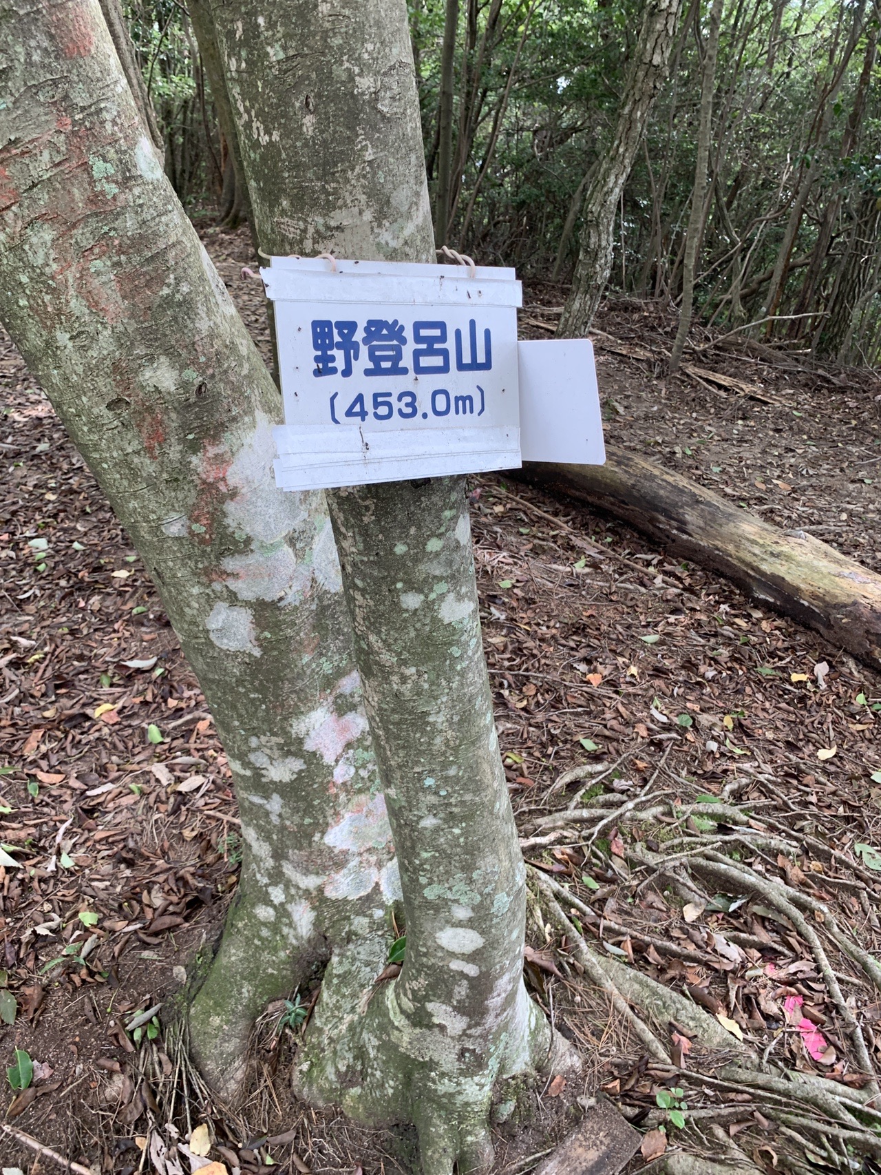 野登呂山・荒谷山 / masaikeさんの荒谷山・岳山の活動データ | YAMAP / ヤマップ