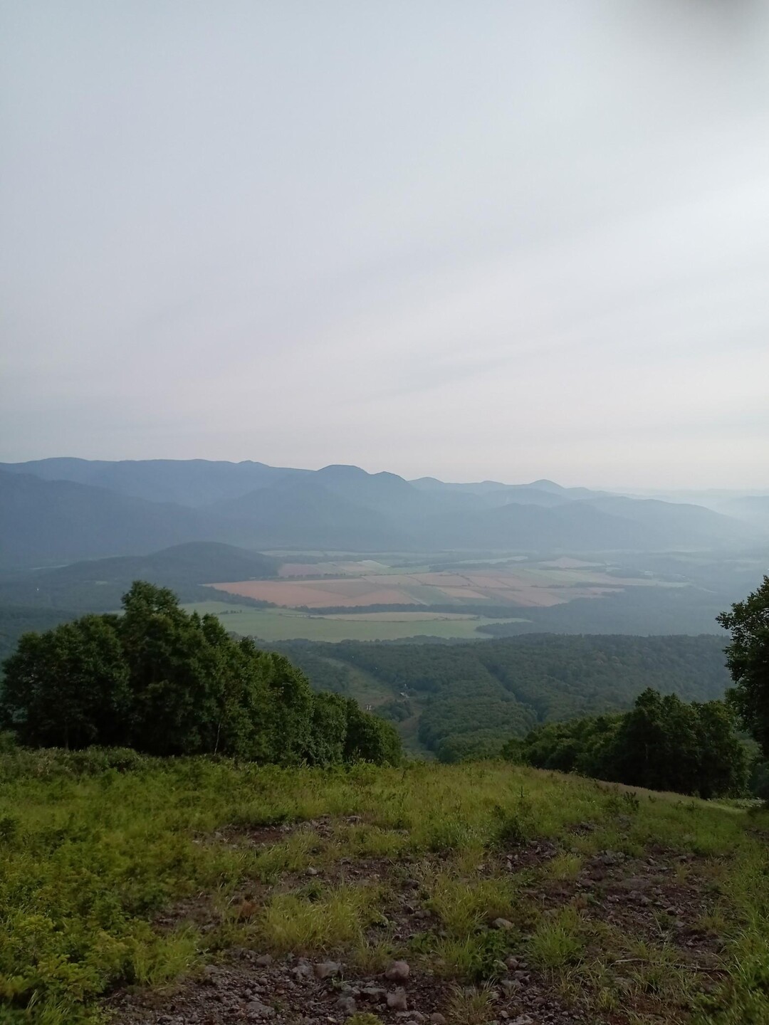 DNFシン大雪山トレイルランニング / エフロクさんのニセイカウシュッペ山・平山・朝陽山の活動データ | YAMAP / ヤマップ