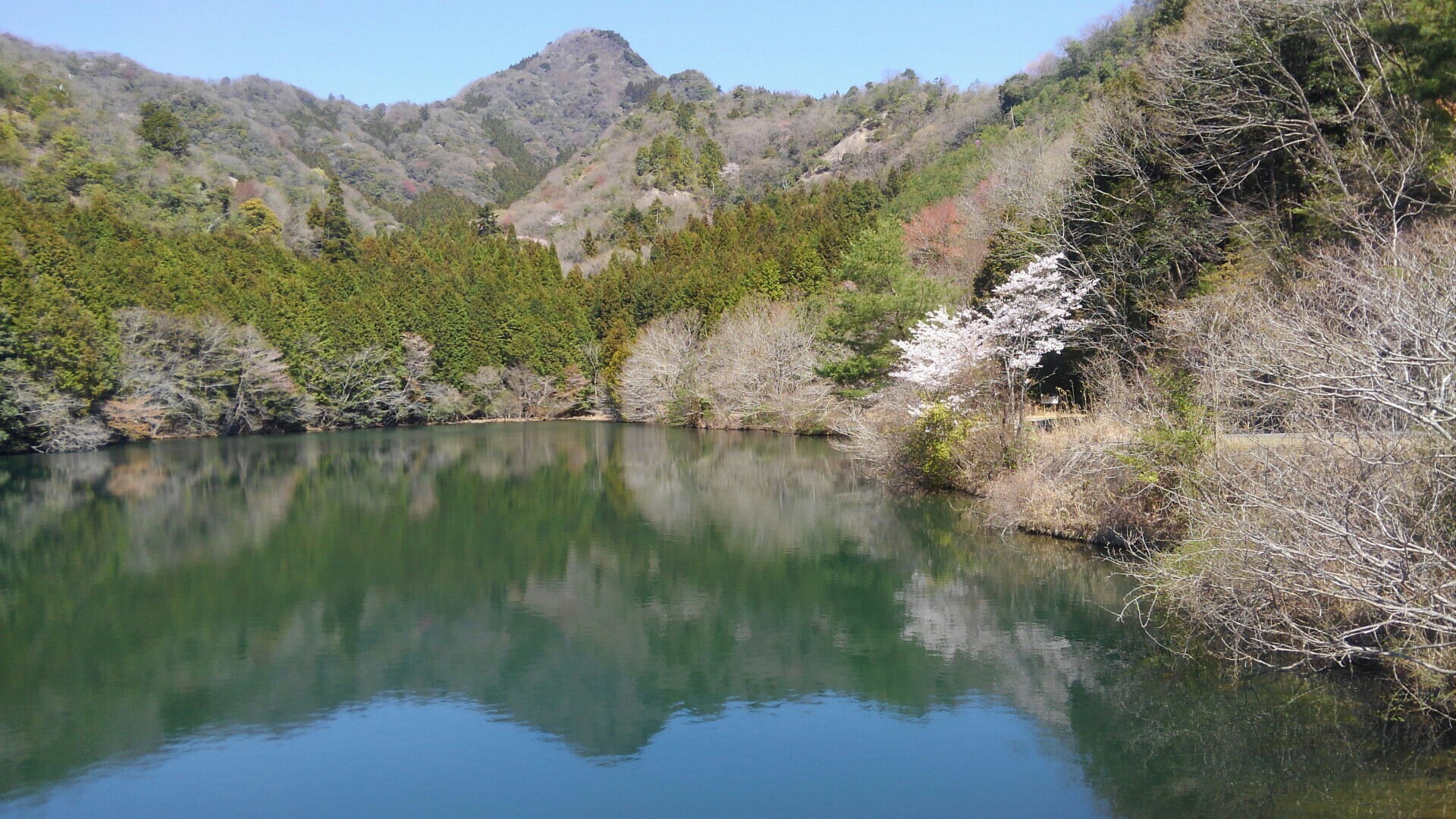 青空に初ソロの明神山‼イエーイ😃 / 赤い車P2さんの明神山・太郎岳の活動データ | YAMAP / ヤマップ