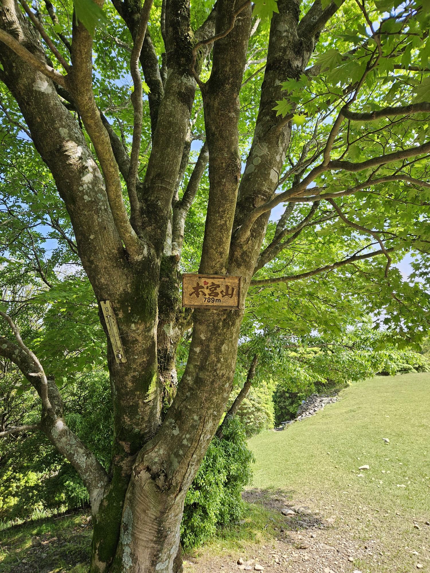 足首のリハビリ Part2 in 本宮山 / yukaさんの本宮山・大日山・風頭山の活動データ | YAMAP / ヤマップ