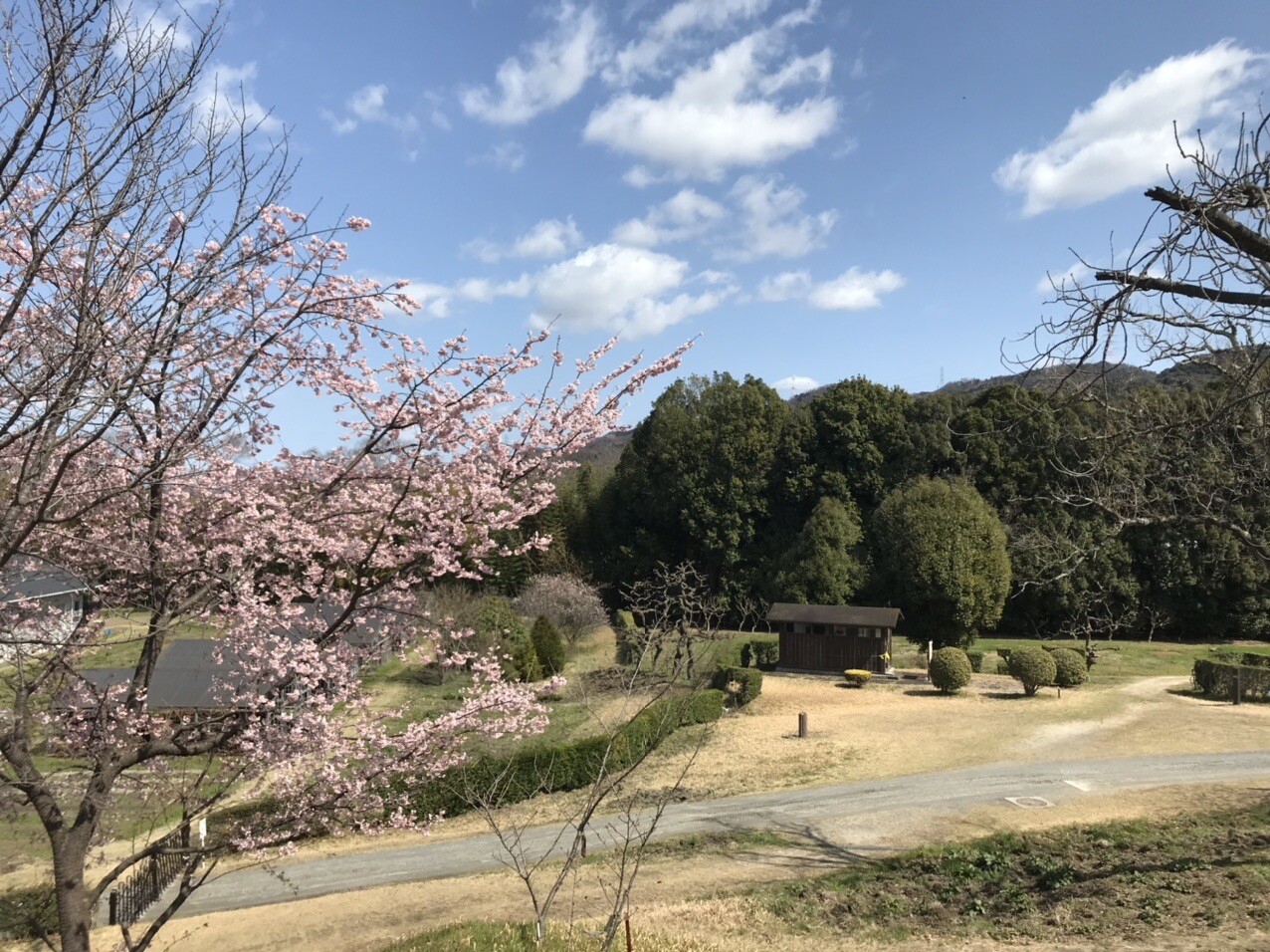 自宅から歩いて10分の大阪市立大学附属植... / みーちしおんさんのモーメント | YAMAP / ヤマップ