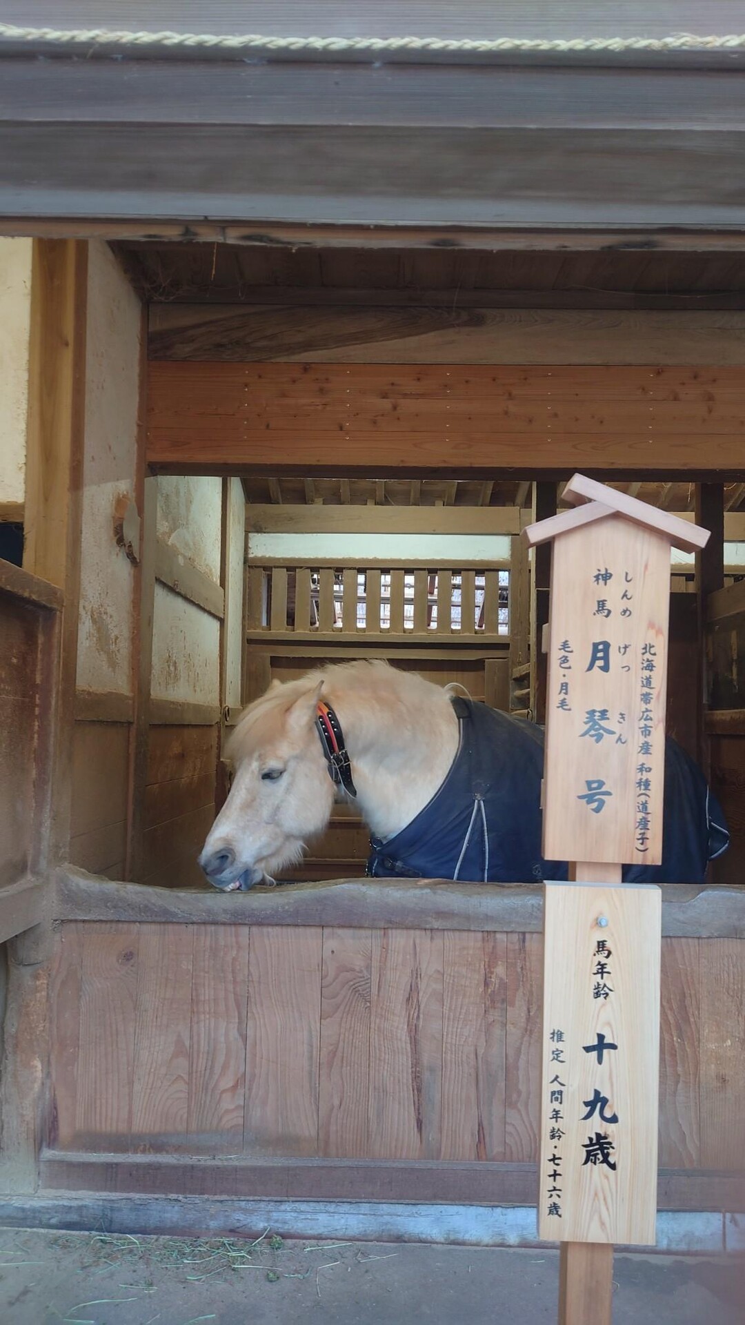 blackmoreさんの投稿したフィールドメモ | YAMAP / ヤマップ