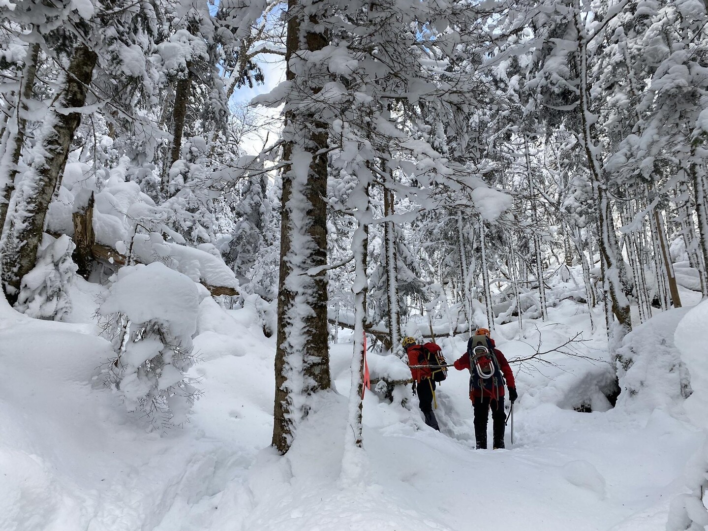 双子池ヒュッテ（北横岳） / Hase100さんの蓼科山・横岳・縞枯山の活動データ | YAMAP / ヤマップ