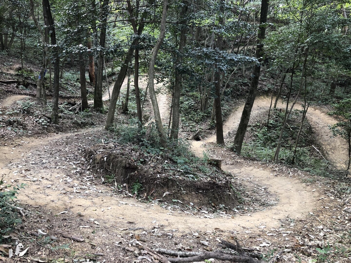 【大杉トレイル】MTB / えつさんのその他の活動データ | YAMAP / ヤマップ