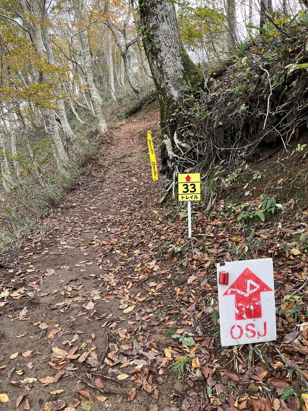 2024 OSJ KAMI 100 / marrさんの氷ノ山（須賀ノ山）・鉢伏山・瀞川山の活動データ | YAMAP / ヤマップ