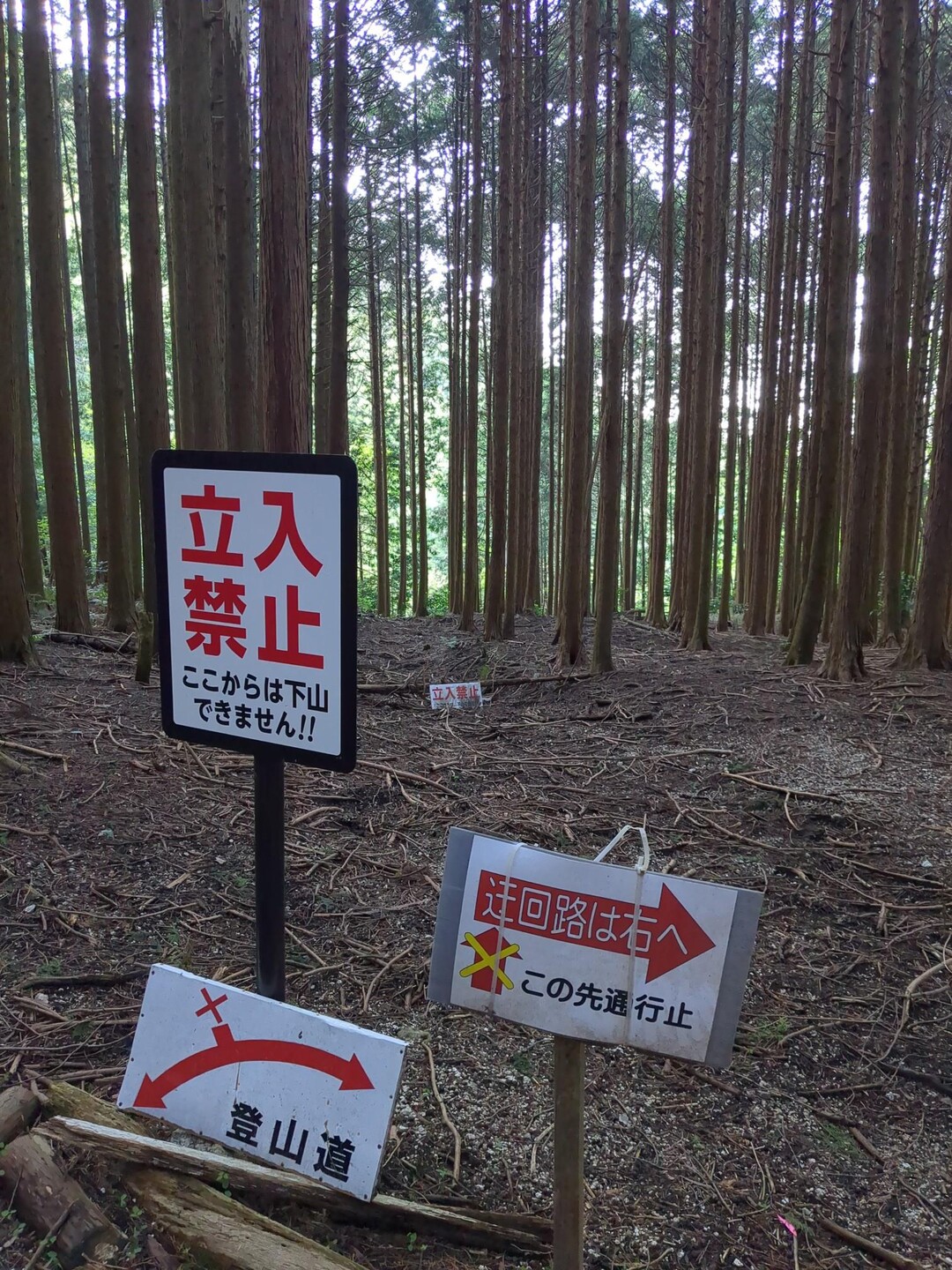 EBIさんの投稿したフィールドメモ | YAMAP / ヤマップ