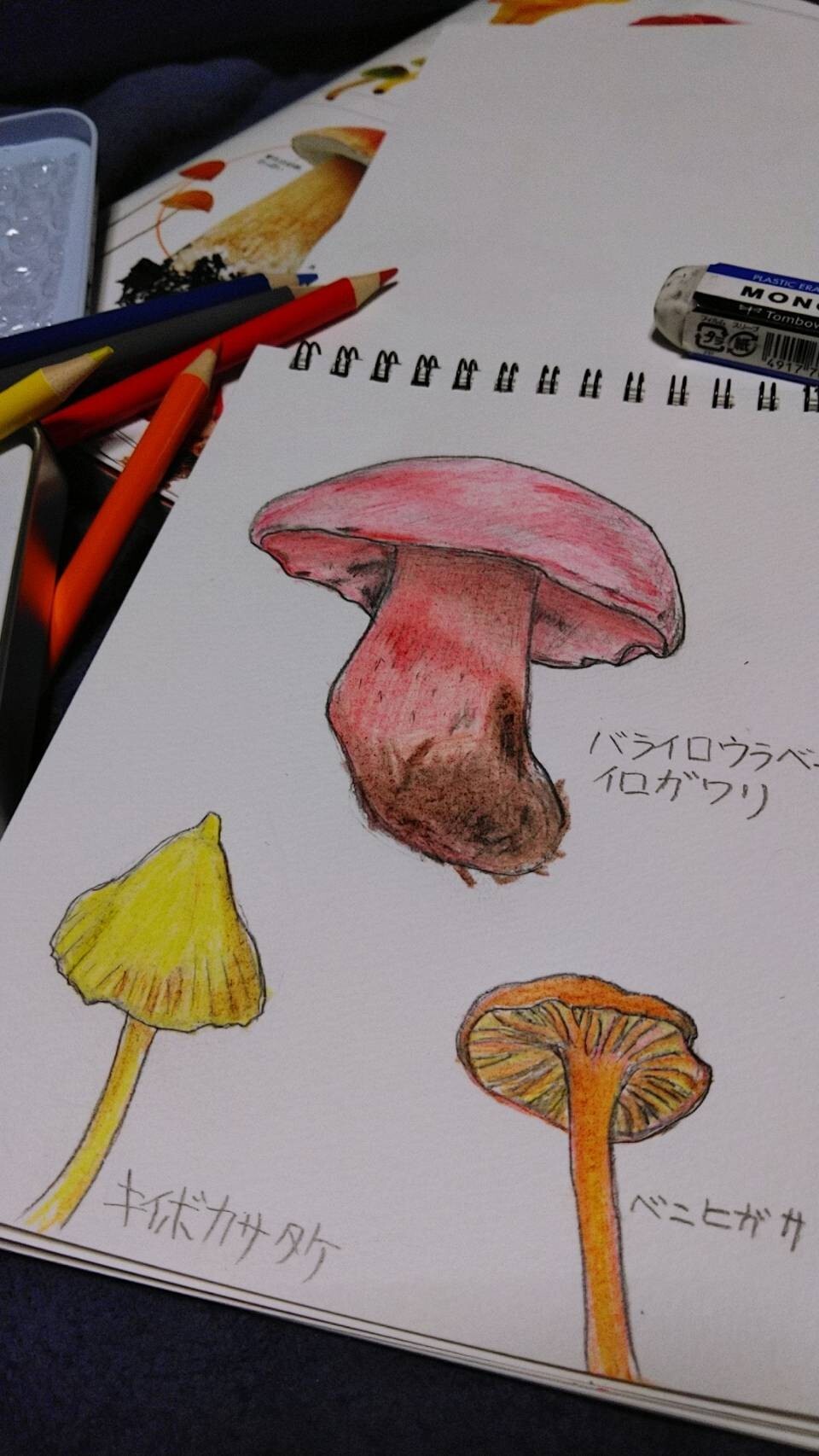 カラフルなキノコ描いてみた🍄 ほんと... / kazさんのモーメント | YAMAP / ヤマップ