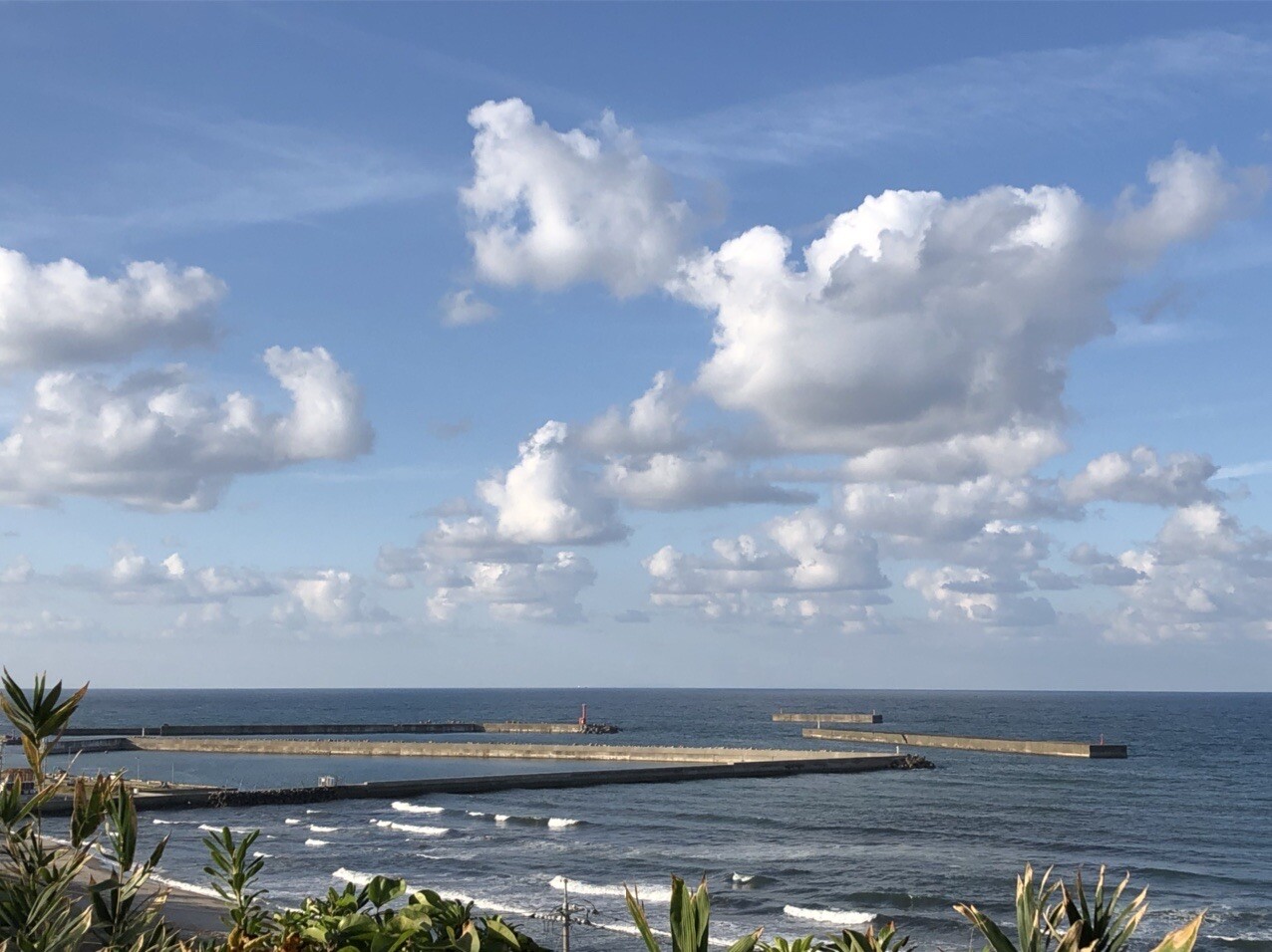 いつかのお散歩 🚶‍♀️ 可愛い💕モ... / 💖🐰Roco🐰💖さんのモーメント | YAMAP / ヤマップ