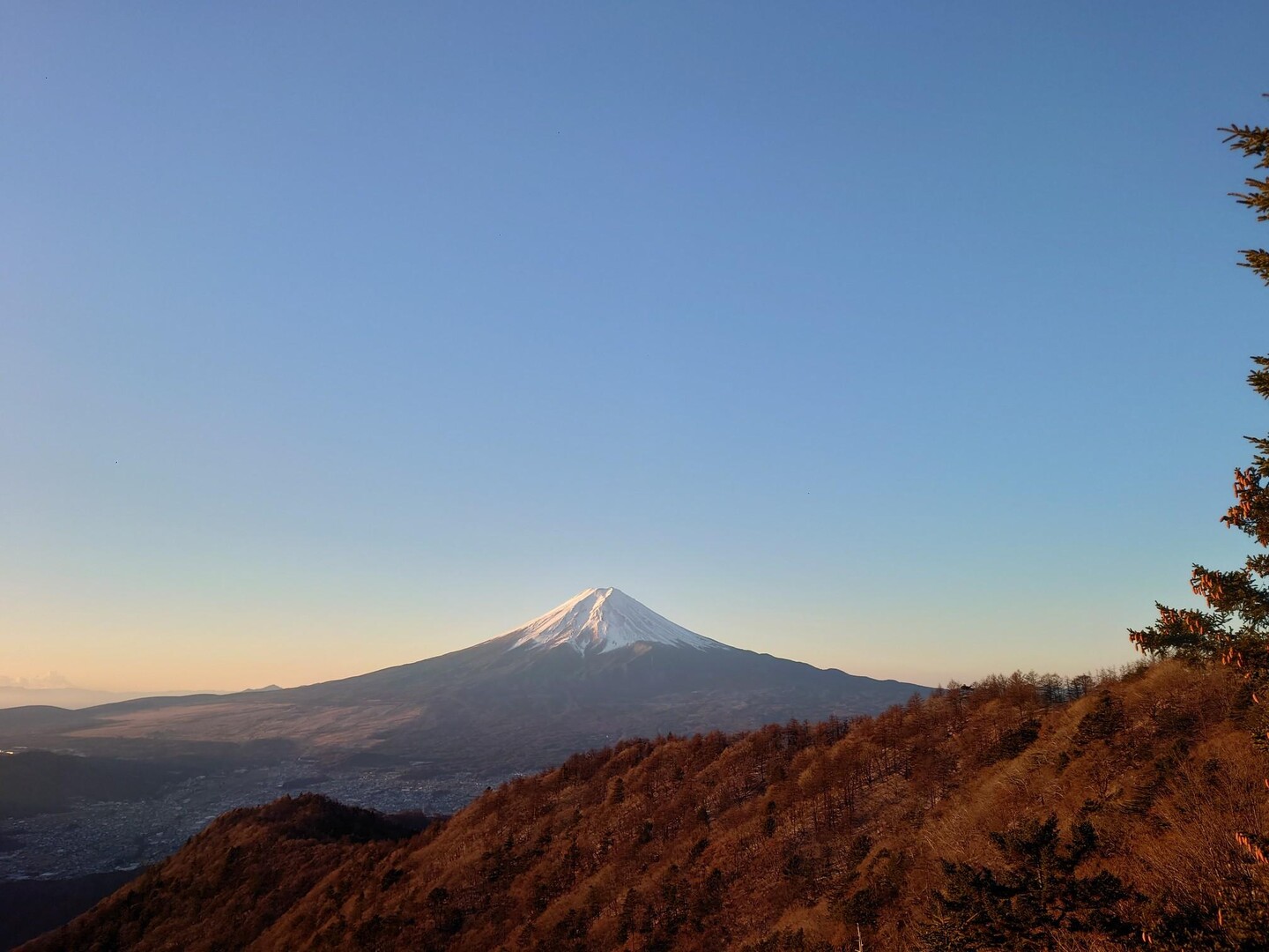 三ッ峠山（開運山） / j.jack02さんの三ッ峠山・本社ヶ丸・鶴ヶ鳥屋山の活動データ | YAMAP / ヤマップ