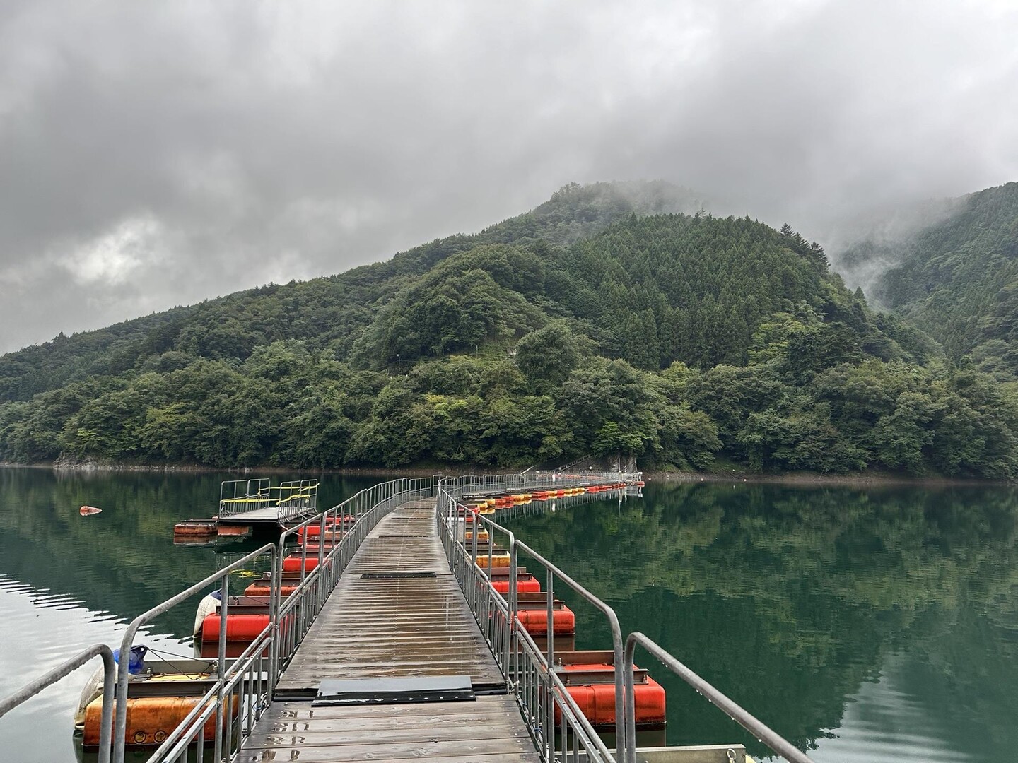雨の三頭山‼️ / szkさんの三頭山・槇寄山・土俵岳の活動データ | YAMAP / ヤマップ