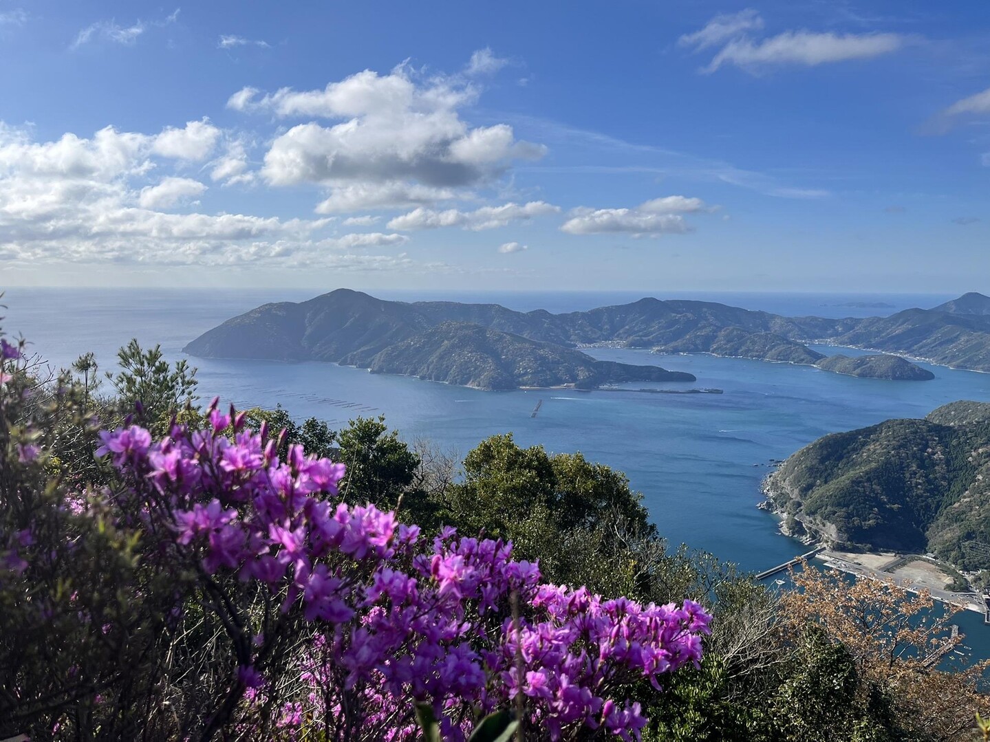 春の元越山へ / kohiさんの元越山・色利山・石槌山の活動データ | YAMAP / ヤマップ