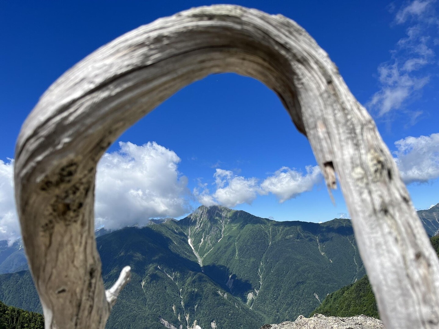 鳳凰三山-2023-07-17 / MURAさんのウォーキングの活動データ | YAMAP / ヤマップ