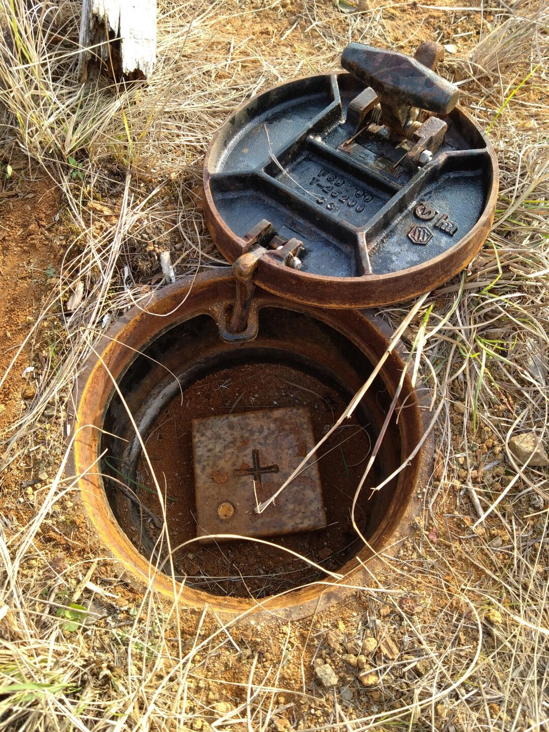 佐賀の山を探すっ隊 R6.12 / えんぴさんの大野岳の活動データ | YAMAP / ヤマップ