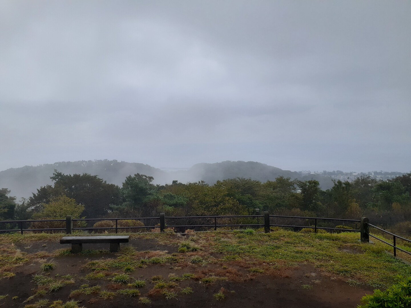 東天照・高麗山・八俵山・浅間山(平塚市・大磯町)・湘南平 / kuma3016さんの高麗山・湘南平・鷹取山の活動データ | YAMAP / ヤマップ