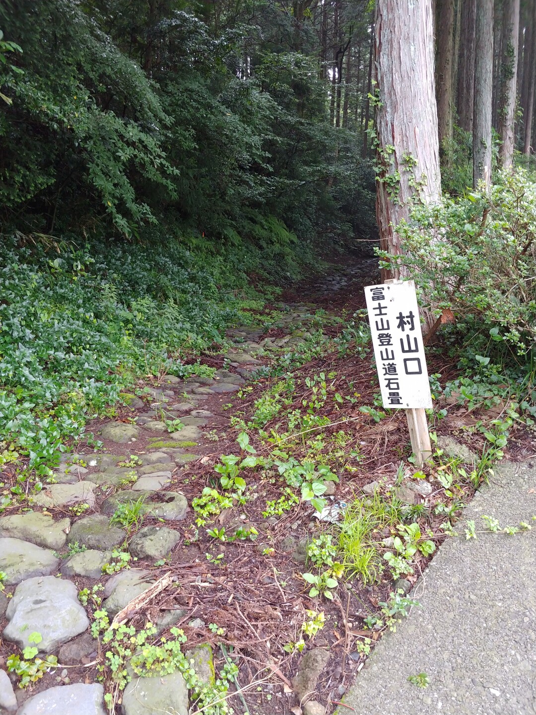 【2日目】海抜0m→標高3776m / ふーみんさんの富士山の活動データ | YAMAP / ヤマップ