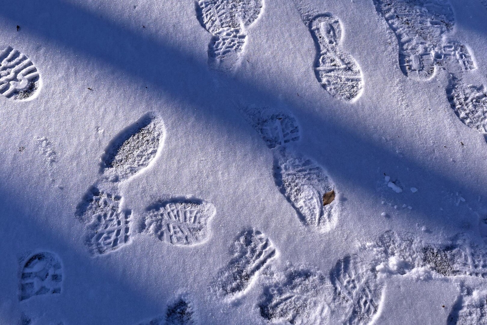 雪を踏みしめて、奥武蔵縦走 / YUHYAさんの武甲山・伊豆ヶ岳・小持山の活動データ | YAMAP / ヤマップ