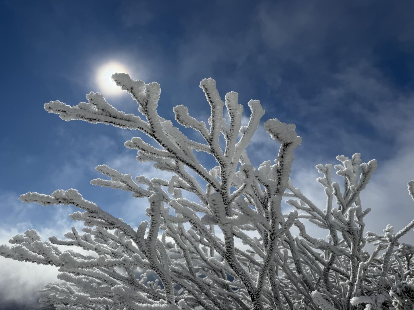 栗駒山山頂は爆風と雹 / ischanさんの栗駒山（須川岳）・秣岳・虚空蔵山の活動データ | YAMAP / ヤマップ