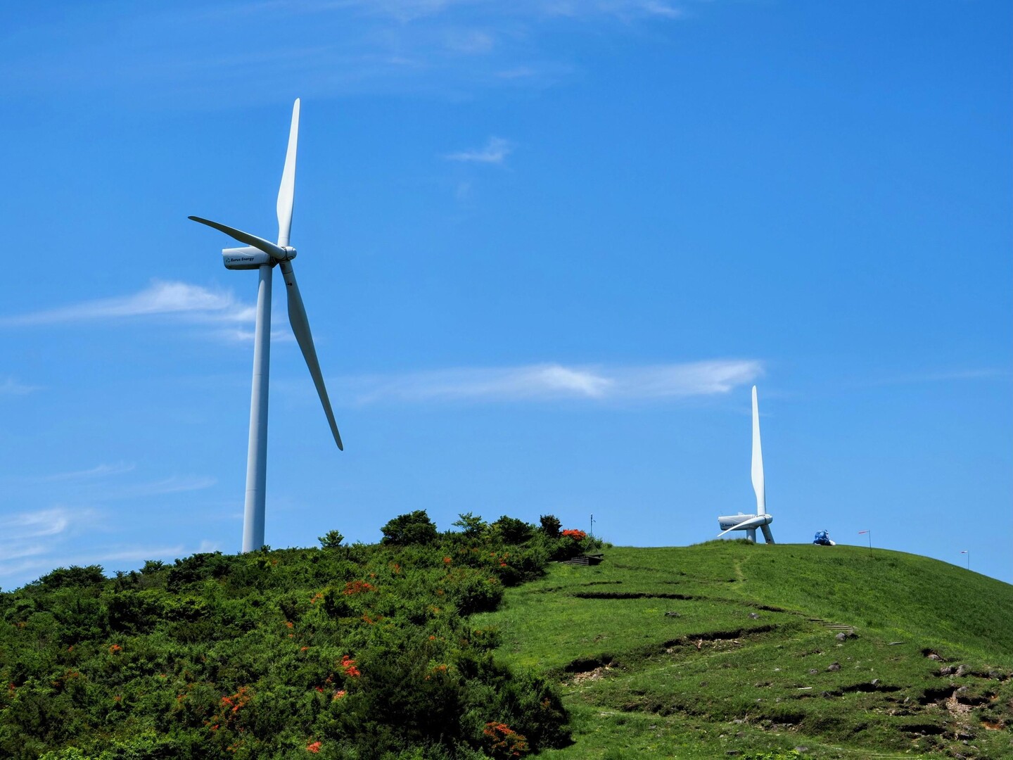 聖地らしいですよ⛺ 三筋山 / capetaさんの天城山・鉢ノ山・三筋山の活動データ | YAMAP / ヤマップ