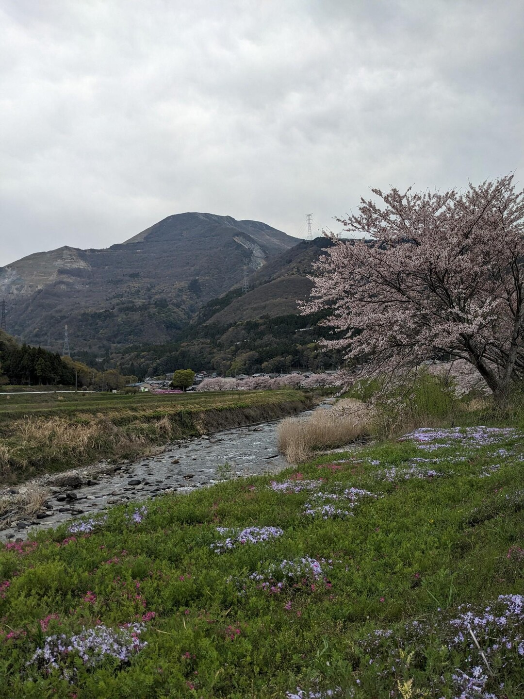 伊吹山 / Sam&Azuさんの伊吹山・伊吹高原・御座峰の活動データ | YAMAP / ヤマップ