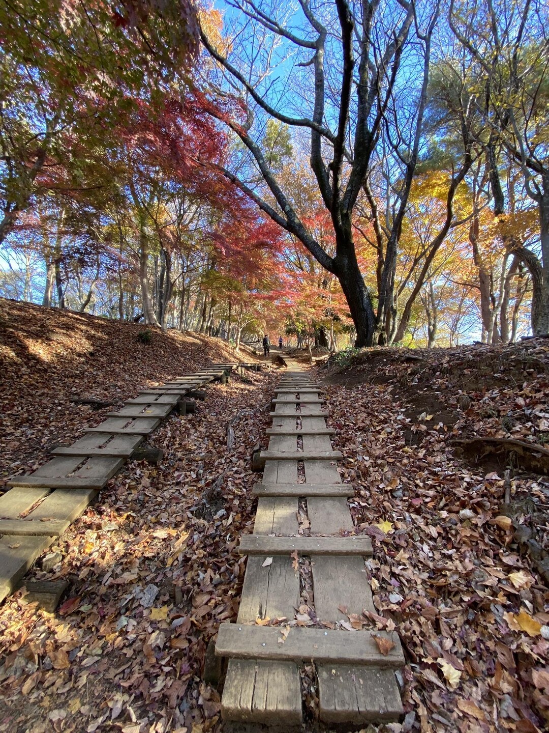 塔ノ岳 / Annさんの塔ノ岳・丹沢山・蛭ヶ岳の活動データ | YAMAP / ヤマップ