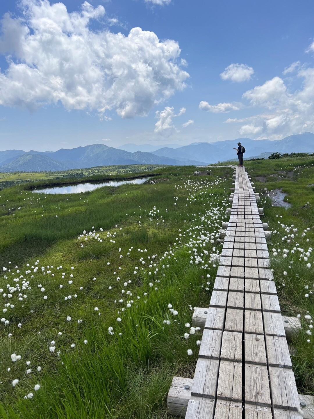 神楽ヶ峰・苗場山 / sayuさんの苗場山・赤倉山・佐武流山の活動データ | YAMAP / ヤマップ