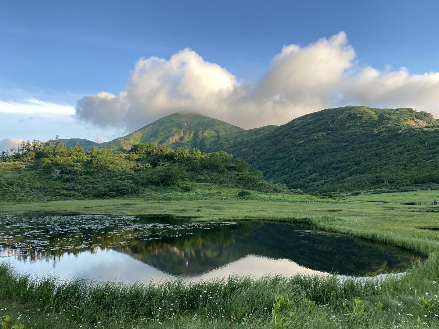 妙高山（北峰）・妙高山（南峰）・茶臼山・火打山 / t-timeさんの妙高山・火打山の活動データ | YAMAP / ヤマップ
