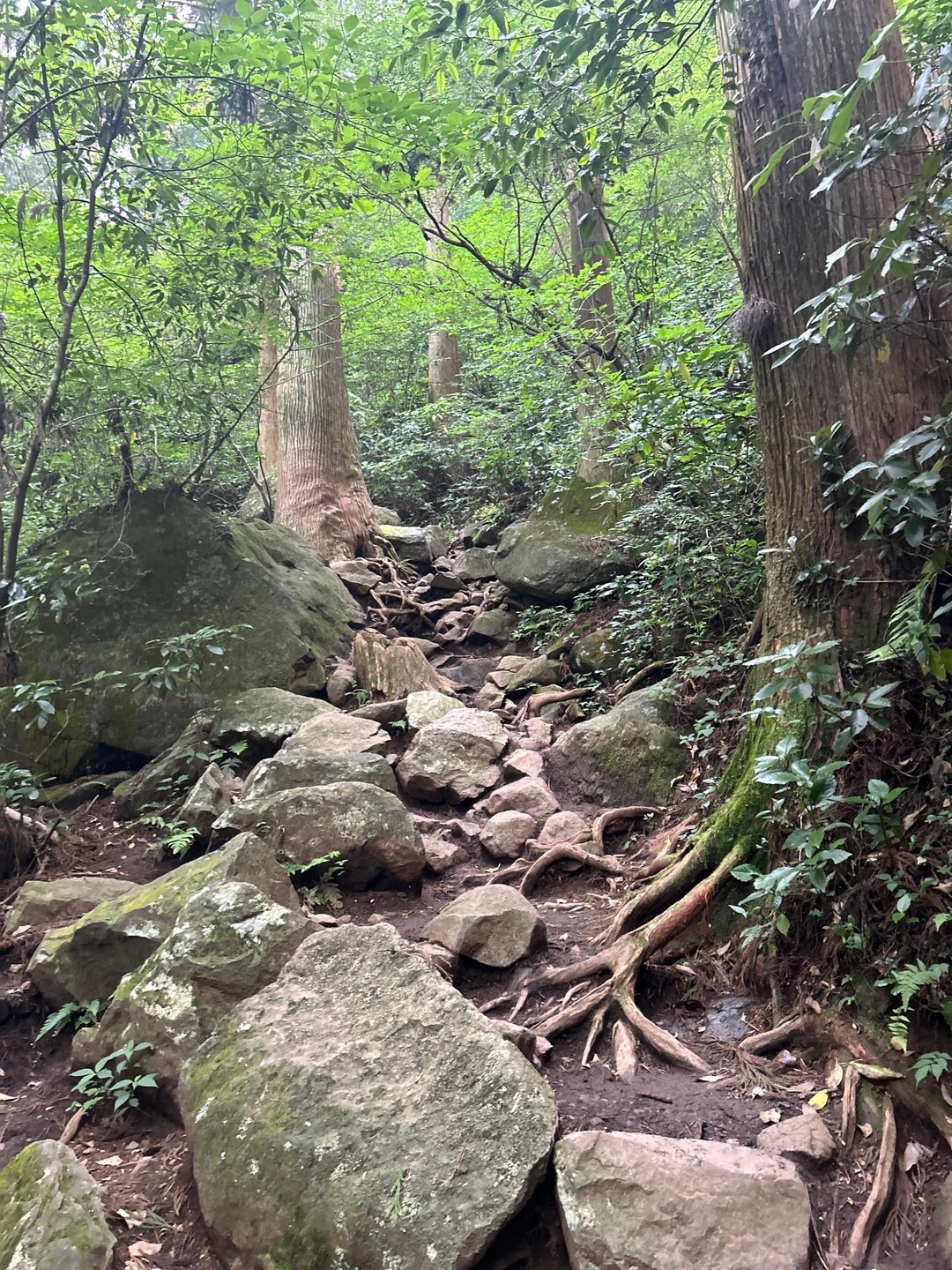 第17回 筑波山 男体山 ソロ / Eddieさんの筑波山の活動データ | YAMAP / ヤマップ