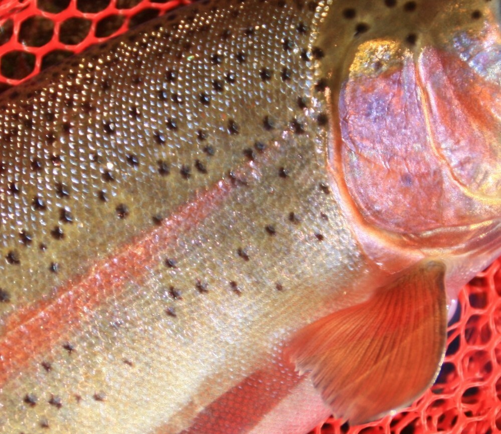 ピーカンに晴れて最高に登山日和なのに所要... / かずたOKTさんのモーメント | YAMAP / ヤマップ